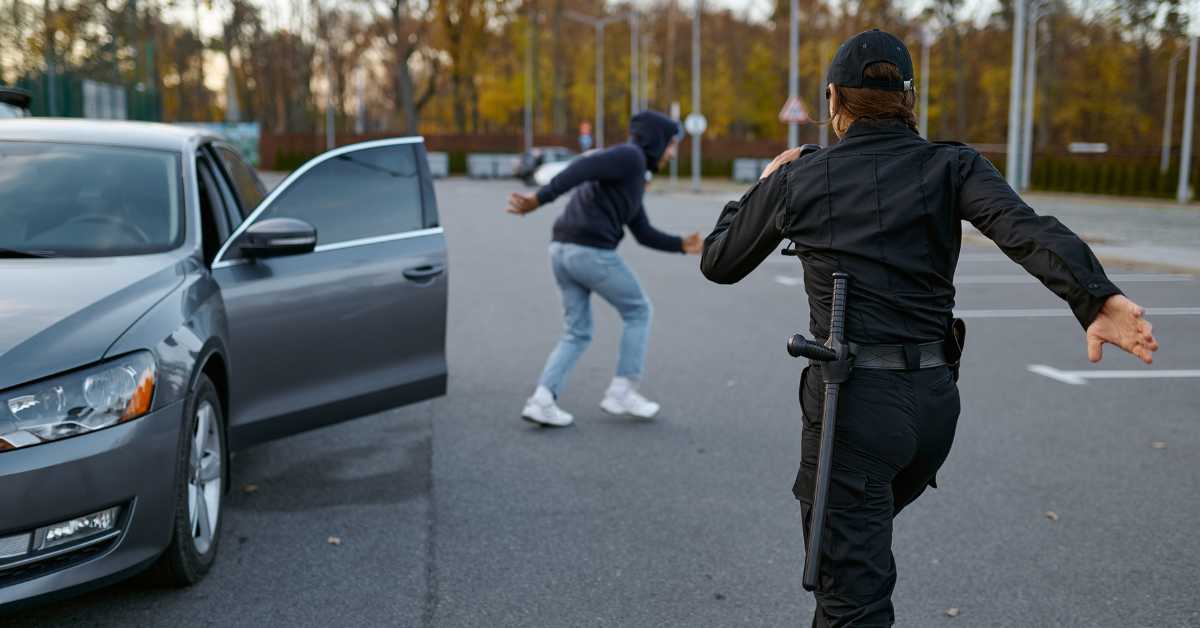 Fleeing and Eluding - Michael White Esq